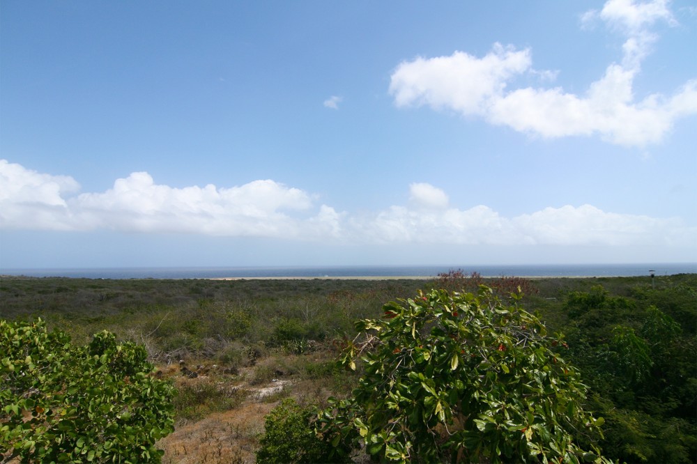 Grote Berg - Huis kopen op Curaçao